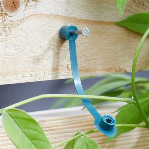 Smart Garden Stemfix 10 Pack Co Op Superstores