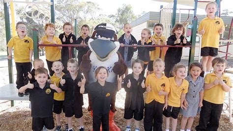 Gallery Kooka Visits Big Hill Primary School Bendigo Advertiser