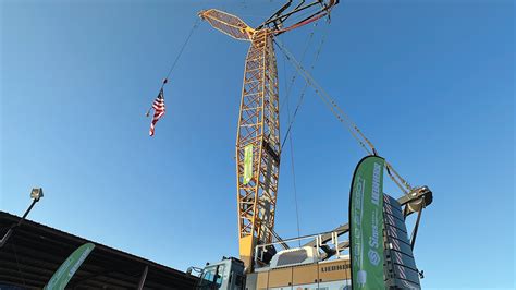 Sims Crane