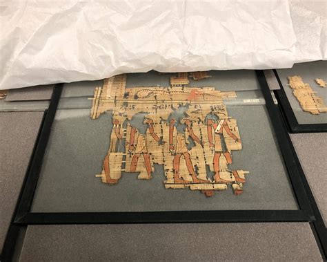 Conservation Ucl Ucl Culture Blog