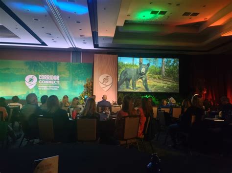 Brent Setchell On Linkedin Happy To Help Host The Prowl Under I 4 Tour Showcasing The Almost