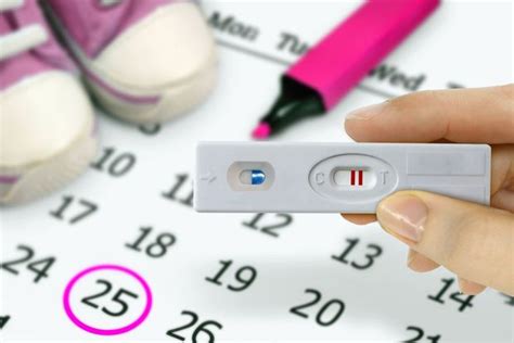 Pregnancy Due Date Calculator Madeformums