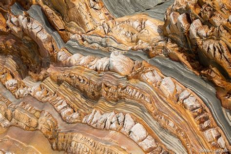 Nature Photography By Ștefan Istrate