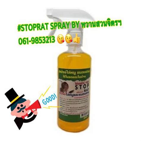 Stop Rat By หวาน สวนจิตรลดา