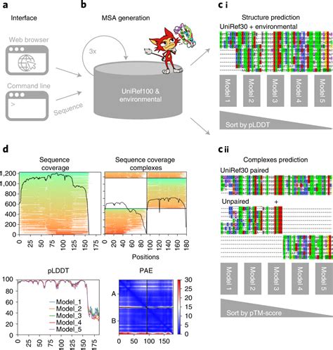 colabfold a freely accessible protein folding tool for accelerated