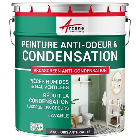 Peinture Anti Condensation Anti Odeur Pour Pièces Humides Arcascreen