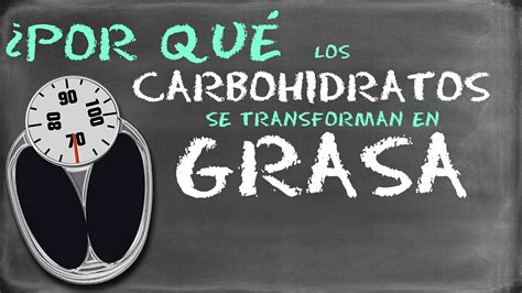 Por Qu Los Carbohidratos Engordan Youtube