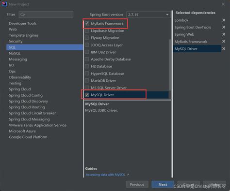 MyBatis如何使用 MyBatis 操作数据库 mybatis 启动项目创建数据库连接 CSDN博客