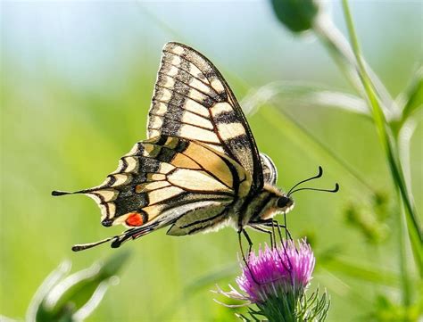 Moers Die Neuen Kalender Von Christian Behrens
