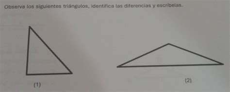 Solved Observa Los Siguientes Triángulos Identifica Las Diferencias Y