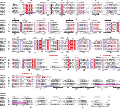 Structure Based Sequence Alignment Of Representative Isopropylmalate