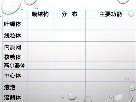 3 2细胞器 系统内的分工合作课件 共33张ppt 2020 2021学年高一上学期生物人教版必修1 21世纪教育网