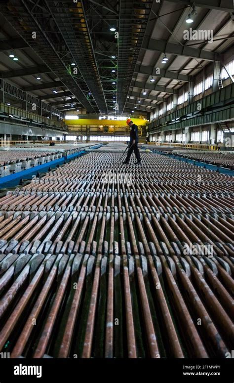 Copper Metallurgical Plant Electro Refining Electrolysis Line Cathode Copper In Acid Bath