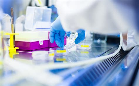 Education Trust Key To Participation By African American Men In Tissue