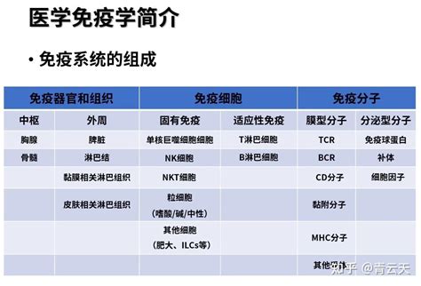 免疫学笔记 学免疫的姚小姚 第一章 免疫学概论 知乎