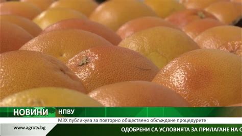 НПВУ МЗХ публикува за повторно обществено обсъждане процедурите Youtube