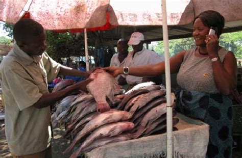 Transactional Sex And Bartered Sex Is There A Good Reason To Distinguish From Commercial Sex