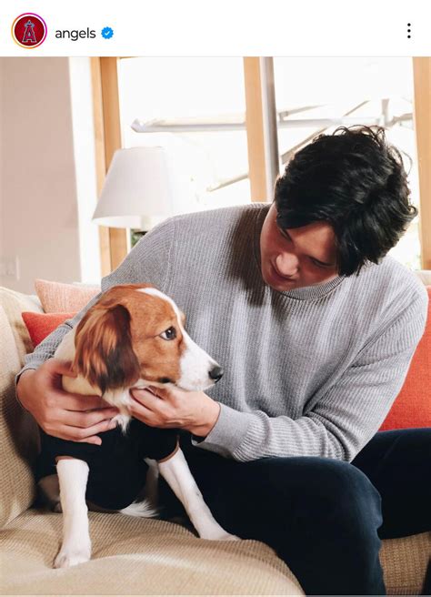 大谷翔平の愛犬の名前は「デコピン」 わくわくニュースフラッシュ