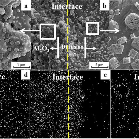 Sem Micrographs A C Of Sample Fracture And Surface And Element Download Scientific Diagram