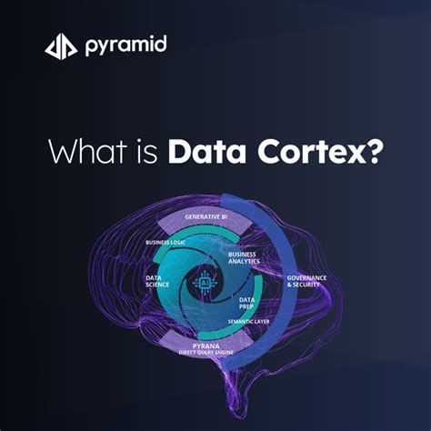 Data Cortex Solution Pyramid Analytics