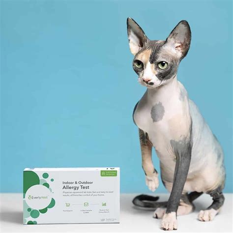 Everlywell Test Review Must Read This Before Buying