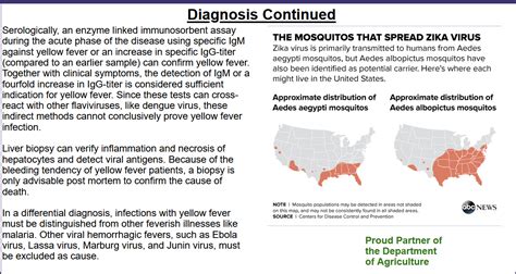 Yellow Fever Mosquito