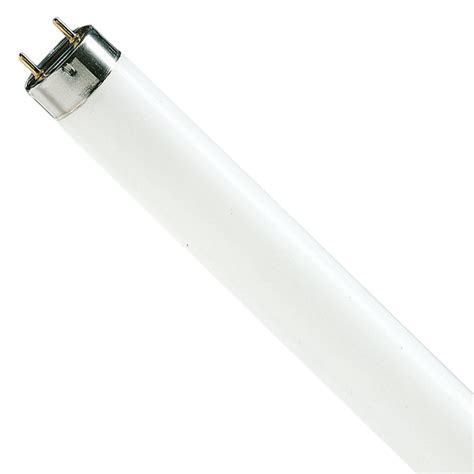 Linear Fluorescent Lamps