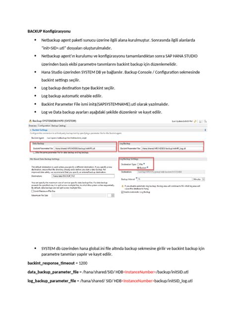 Backint Netbackup Sap Hana Backup Konfigurasyon Pdf