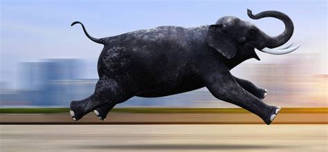 High Performance Real Time Analytics On Hadoop Data Actian