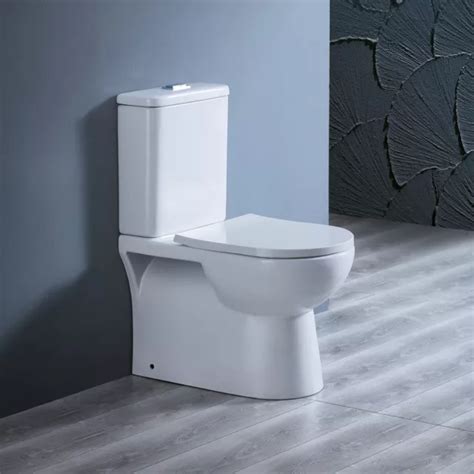 BACK TO WALL Rimless Dual Flush Toilet Suite Soft Close P S TRAP
