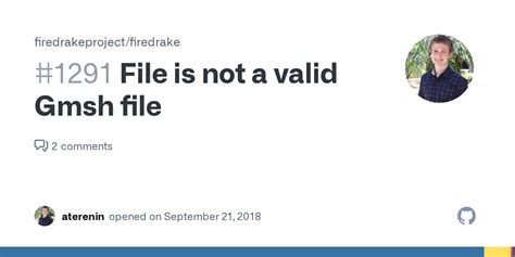 File Is Not A Valid Gmsh File · Issue 1291 · Firedrakeproject