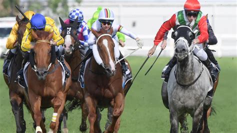 Sir Bacchus Chris Waller Win Again Warwick Farm Au — Australias Leading News Site