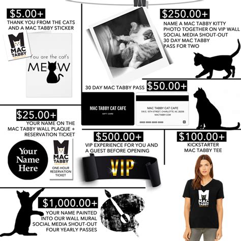 Mac Tabby Cat Cafe Will Open November 11 In Optimist Park Axios Charlotte