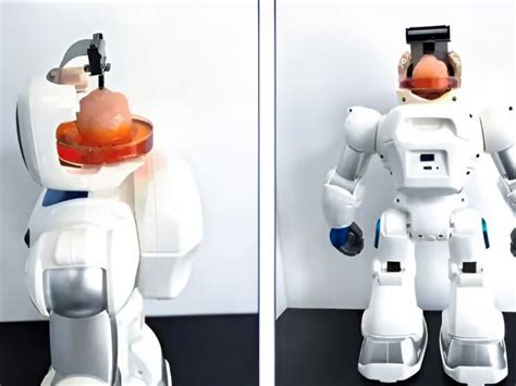 Brain In A Jar Biocomputers Can Now Learn To Operate Robots Scitke