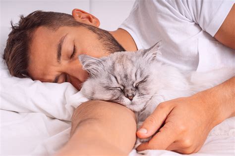 Do Most Cats Sleep With Their Owners At Isla Lascelles Blog