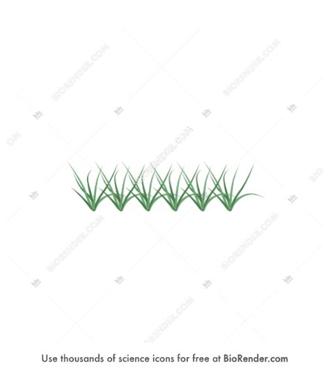 Free Grass Field Icons Symbols And Images Biorender