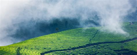 Karma Experience India Delivering Unmatched Holiday Experiences At Unbeatable Prices