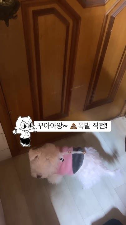 전 아무리 급해도 아무데나 안 싸요 🚽 Youtube