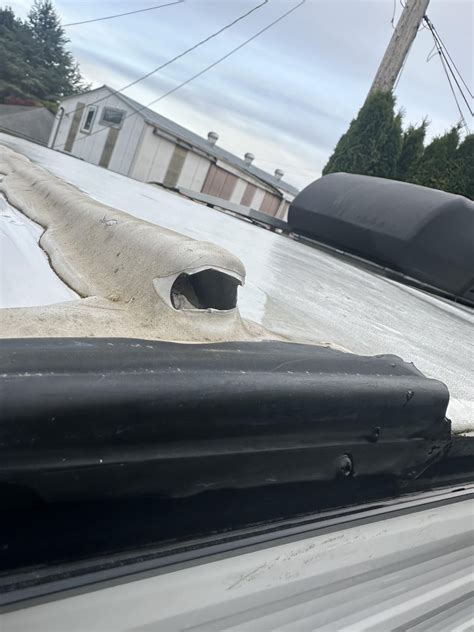 Bubbled Up Roof Rgorving