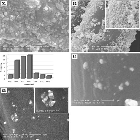 sem photographs and the corresponding particle size distribution
