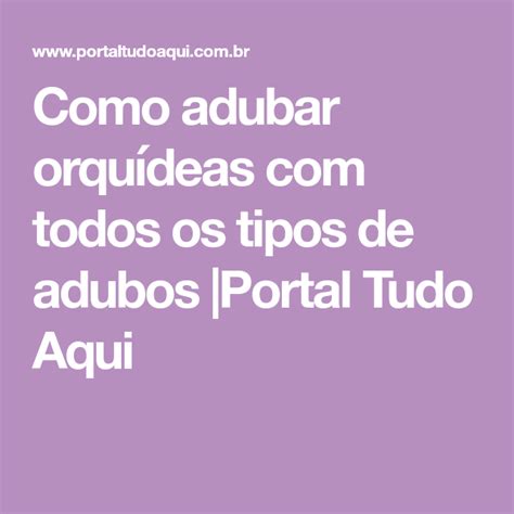 Como adubar orquídeas todos os tipos de adubos Portal Tudo Aqui
