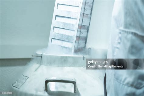 Liquid Nitrogen Tank Cell Storage