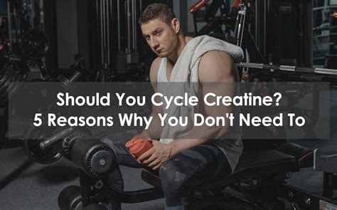 Should You Cycle Creatine 5 Reasons Why You Dont Need To