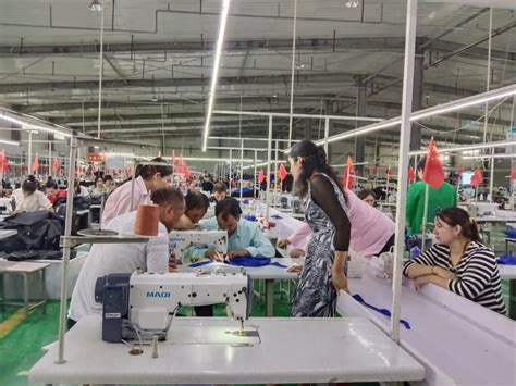 大力实施就业优先战略 助力县域经济高质量发展