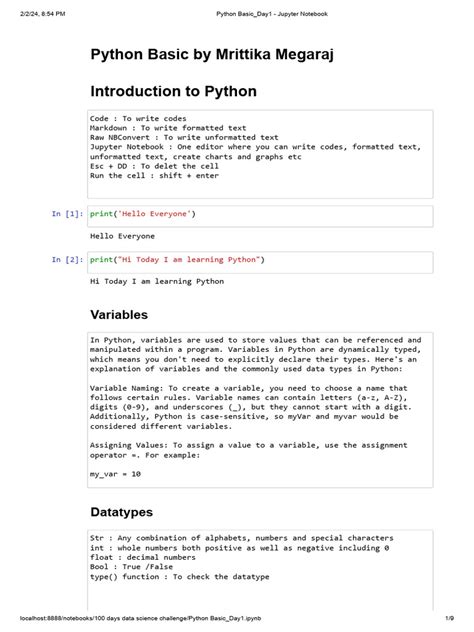 Python Basics | PDF | Variable (Computer Science) | Data Type