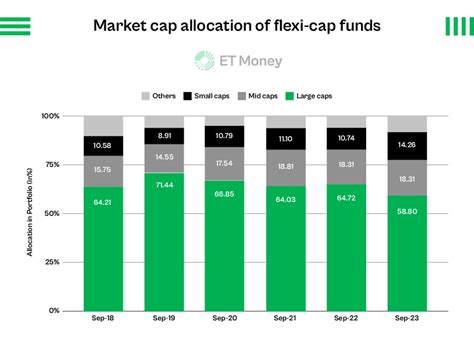 Should You Invest In Flexi Cap Funds