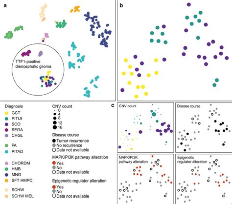 Depiction Of T Distributed Stochastic Neighbor Embedding Tsne Of