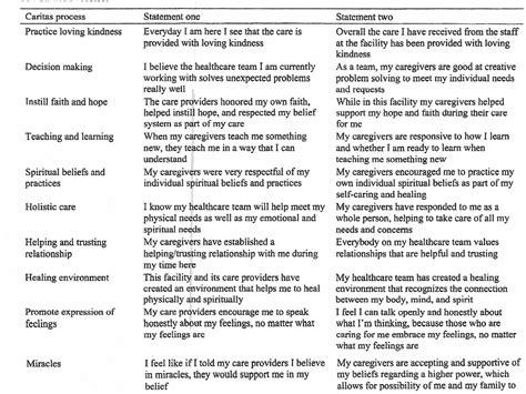 Table 3 From Measuring The Caritas Processes Caring Factor Survey