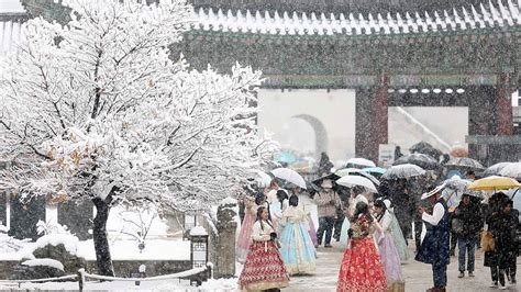 폭설에 궁 관람도 제한…종묘·왕릉 관람로 폐쇄 네이버 Tv