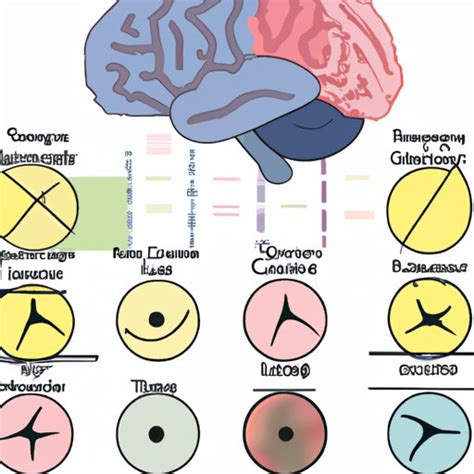 exploring what part of the brain controls judgement and decision making